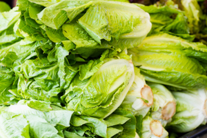 Lattich | Blütezeit, Standort, Verwendung, Beschreibung